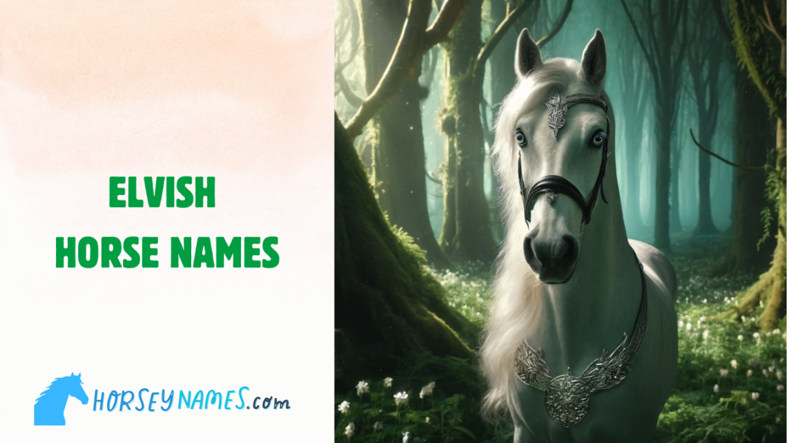 110+ Elvish Horse Names with Generator and Meanings