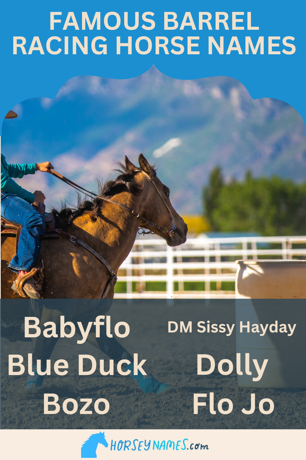 260+ Thoughtful Barrel Racing Horse Names with Meanings and Generator