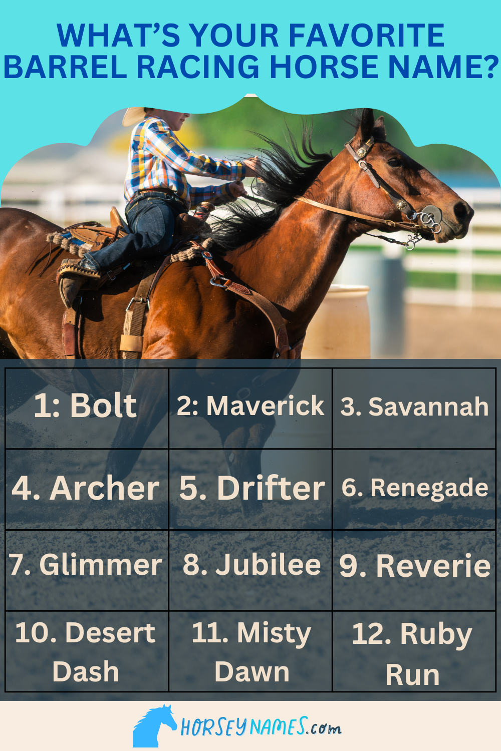 260+ Thoughtful Barrel Racing Horse Names with Meanings and Generator