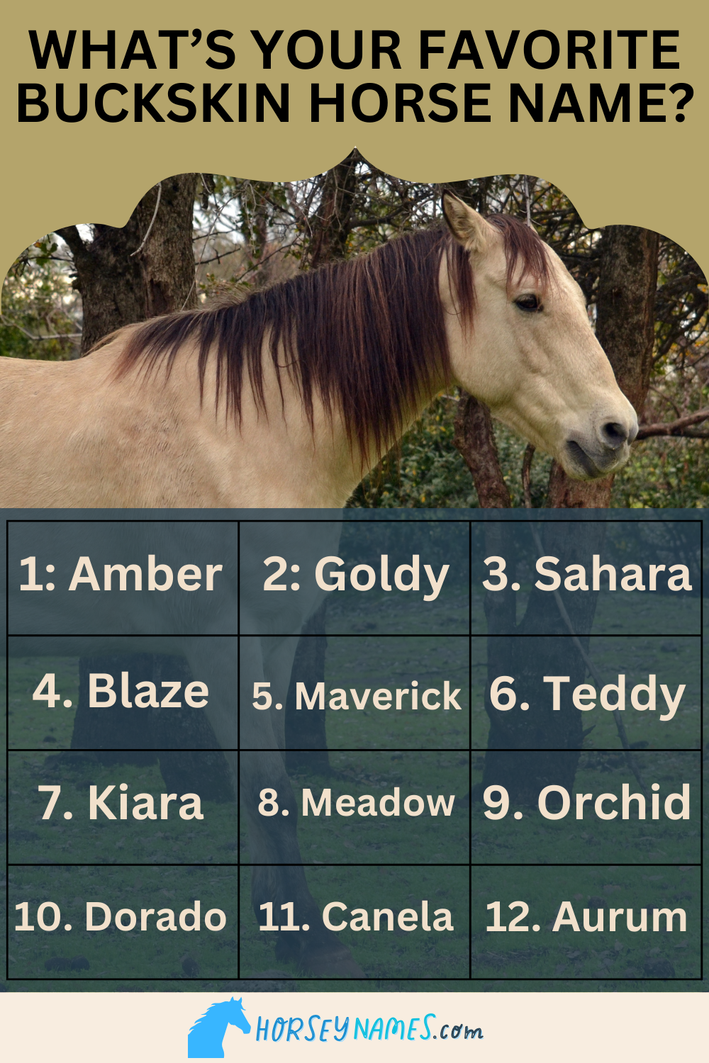 170+ Buckskin Horse Names with Meanings and Generator