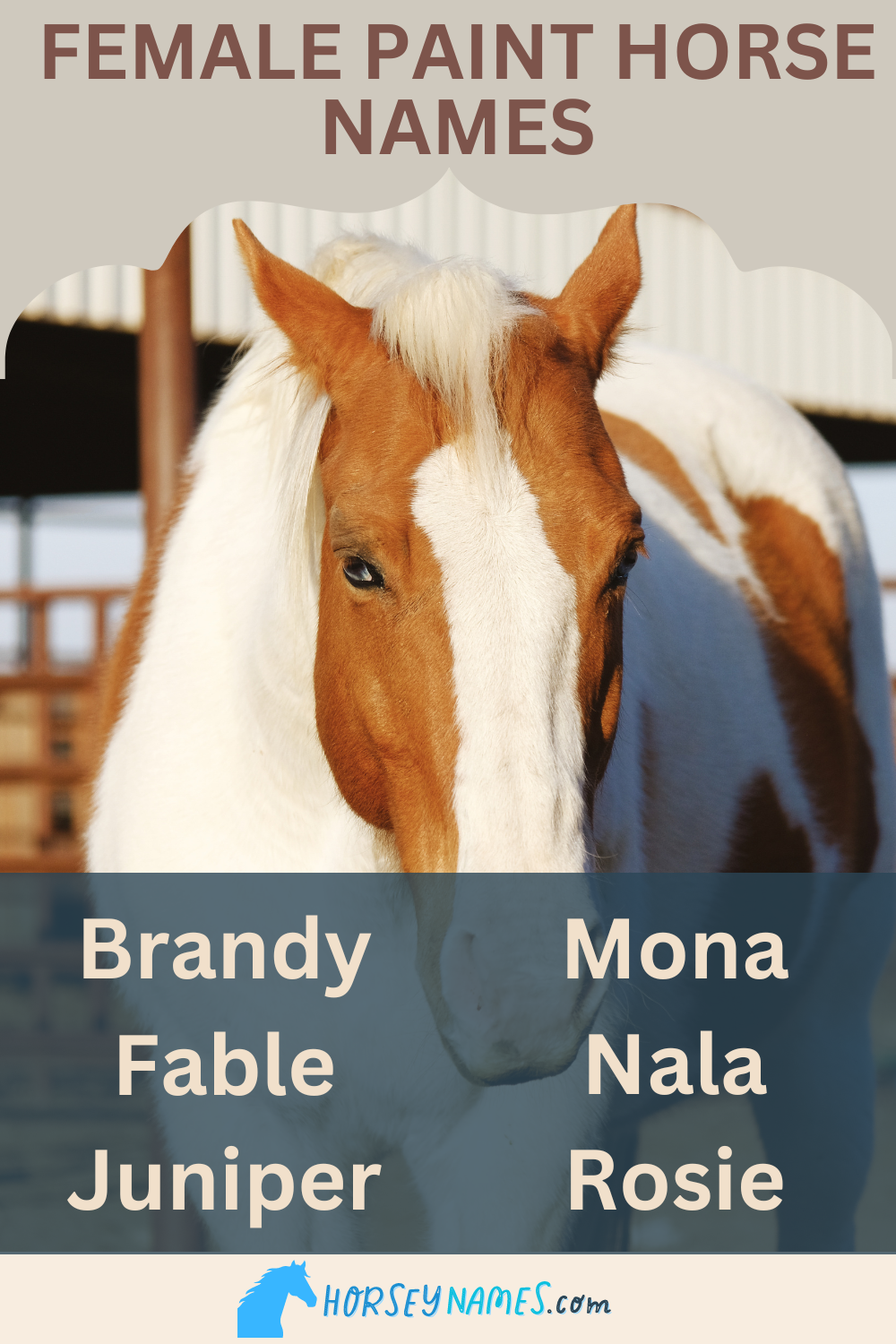 200+ Thoughtful Paint Horse Names with Meanings and Generator