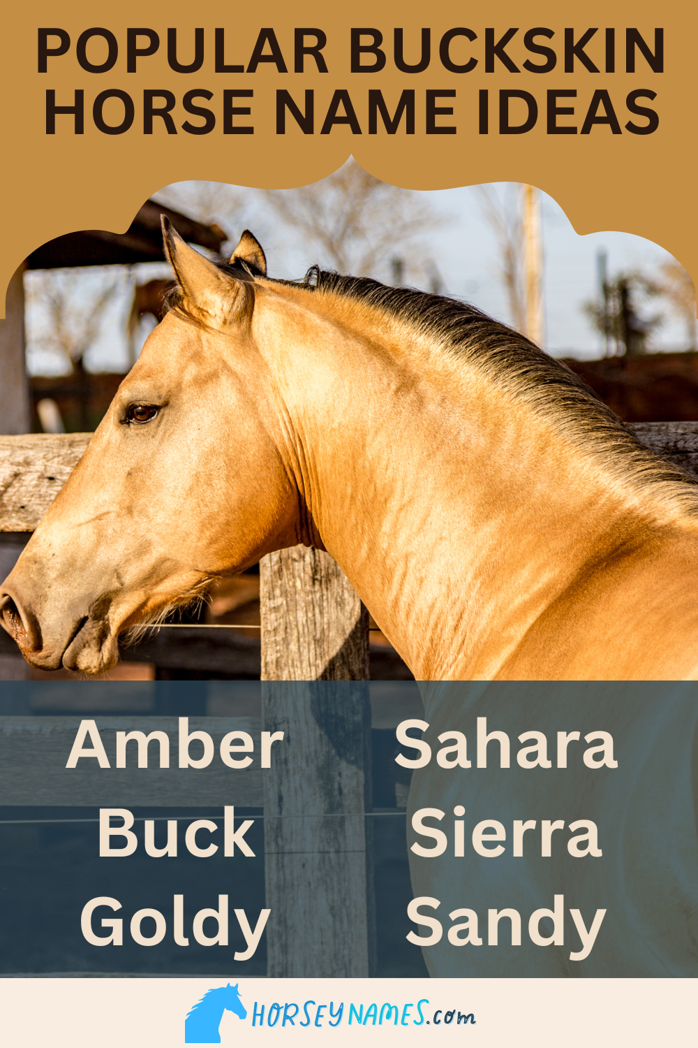 170+ Buckskin Horse Names with Meanings and Generator