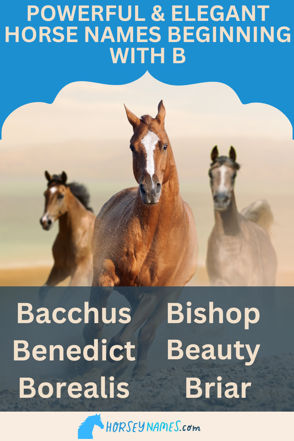 170+ Horse Names Beginning with B with Meanings and Generator