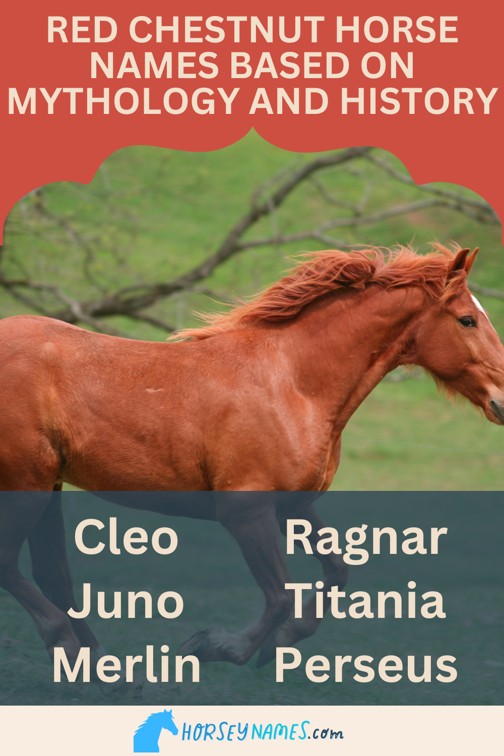 220+ Red Chestnut Horse Names with Meanings and Generator
