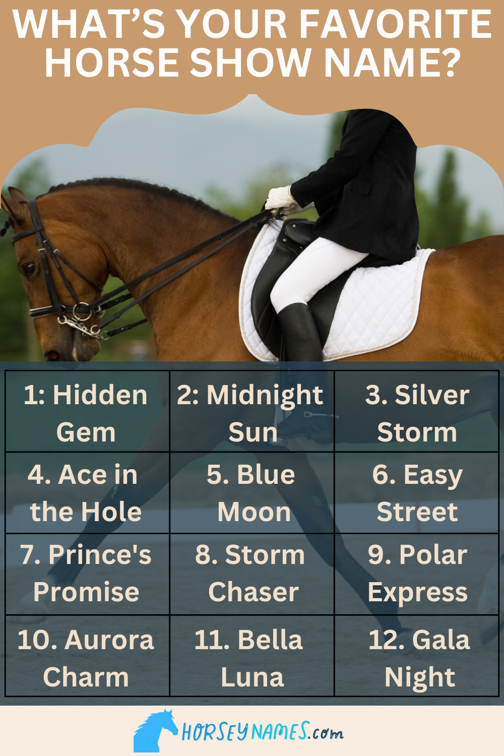 210+ Show Horse Competition Names with Generator