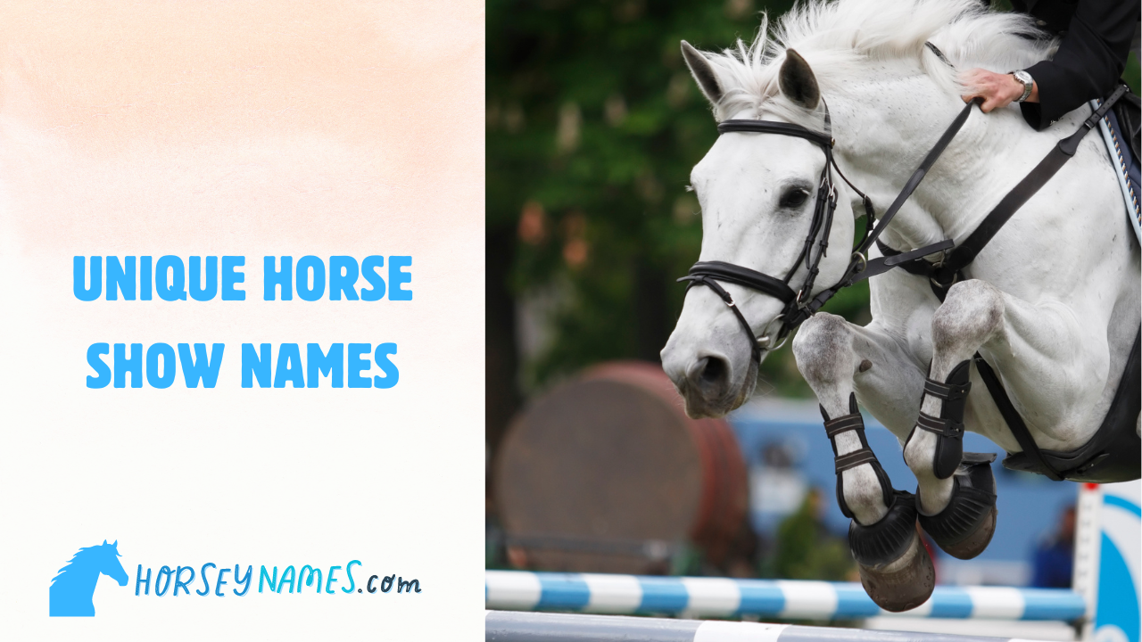210+ Show Horse Competition Names with Generator