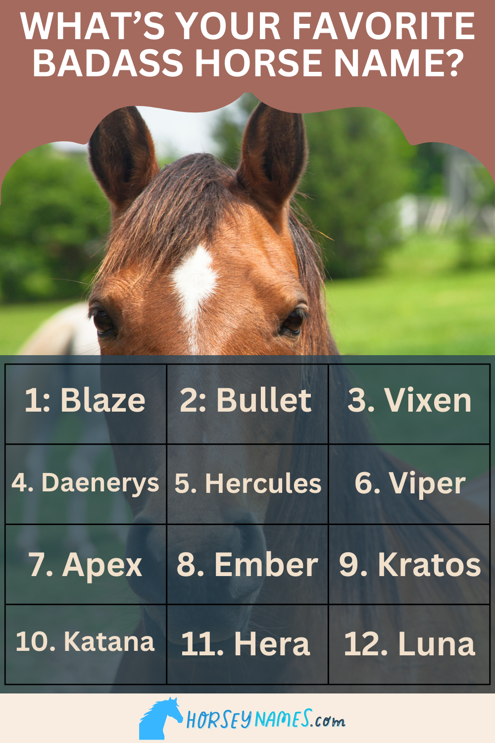 235+ Badass Horse Names with Meanings and Generator