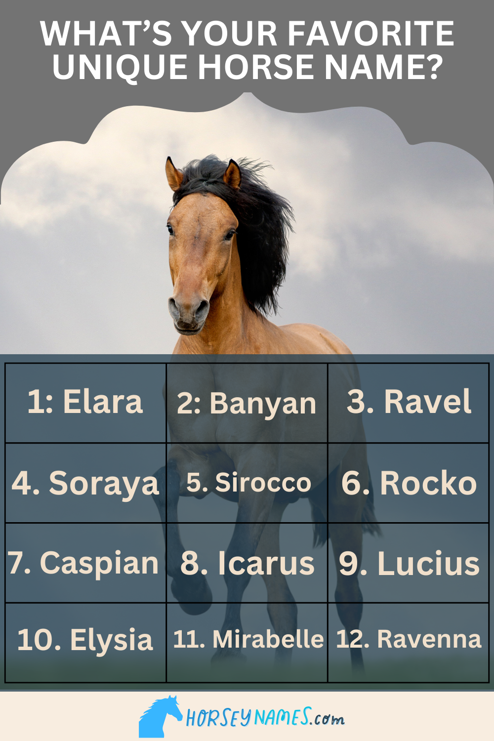 210+ Uncommon Unique Horse Names To Help Your Equine Standout (with Generator)