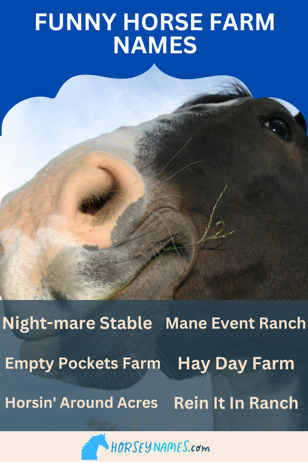 670+ Catchy & Creative Horse Farm Names with Generator