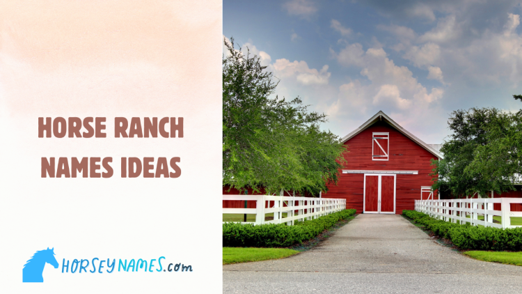 900+ Unique Ranch Names With Generator