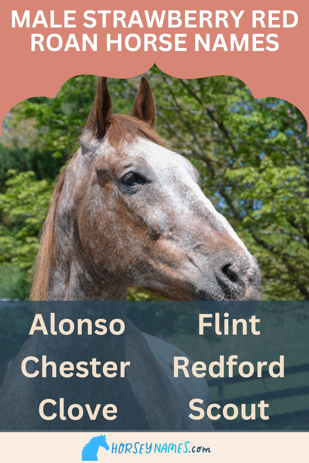 260+ Strawberry Red Roan Horse Names with Meanings and Generator