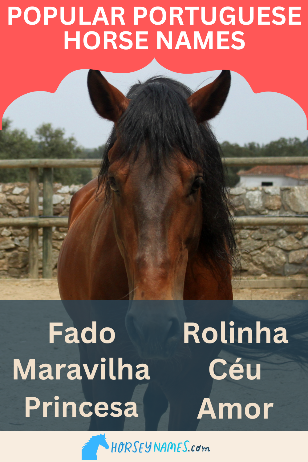 300+ Portuguese Horse Names with Meanings and Generator