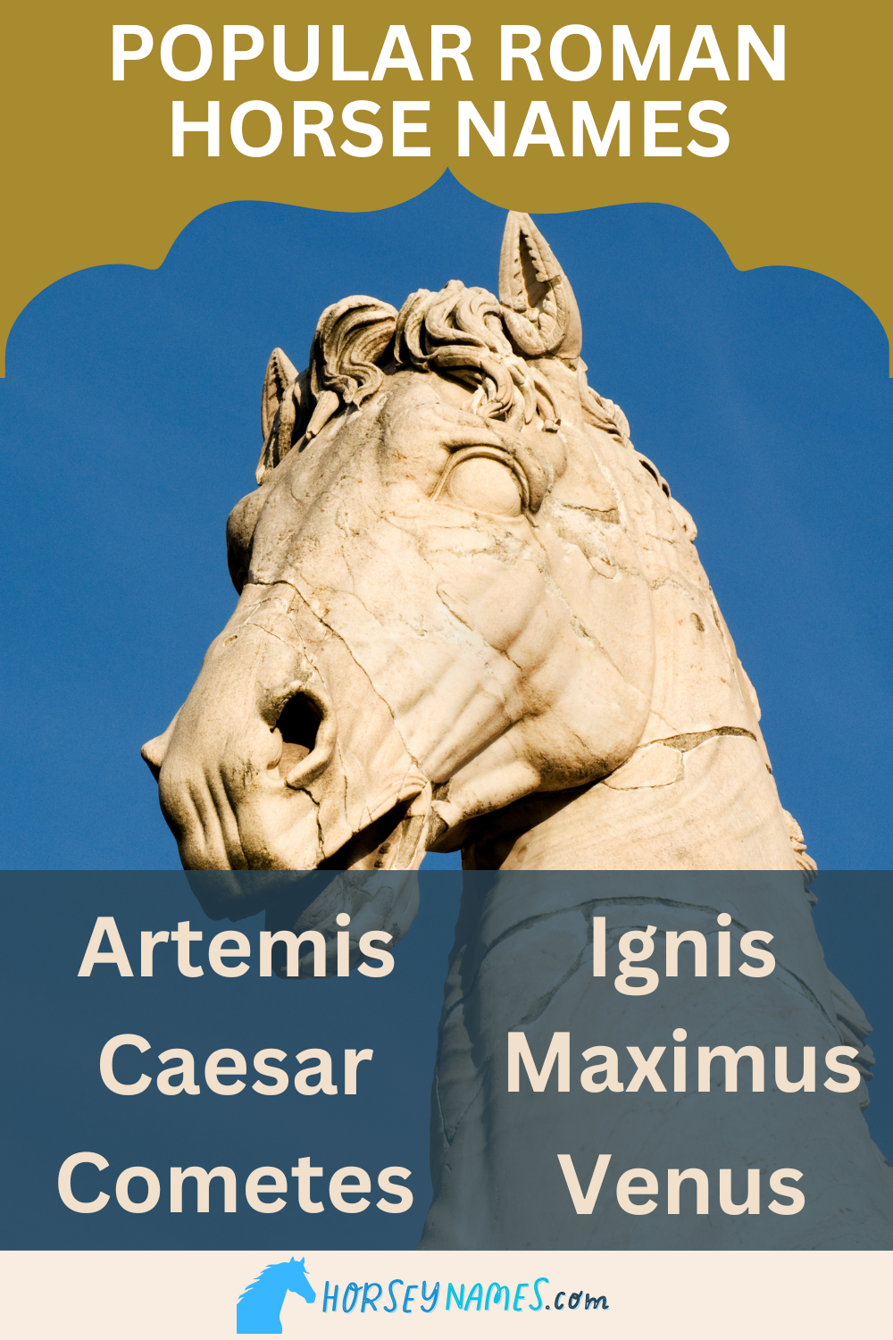 170+ Roman Horse Names with Meanings
