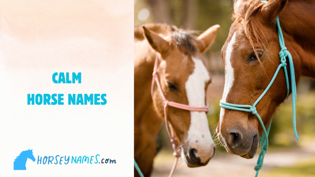 Horse Names Generator with 1500+ Ideas (by Color)
