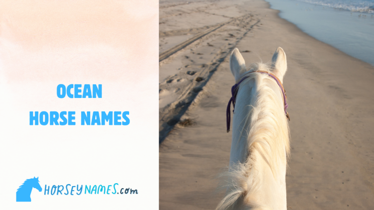 320+ Ocean Inspired Horse Names with Meanings